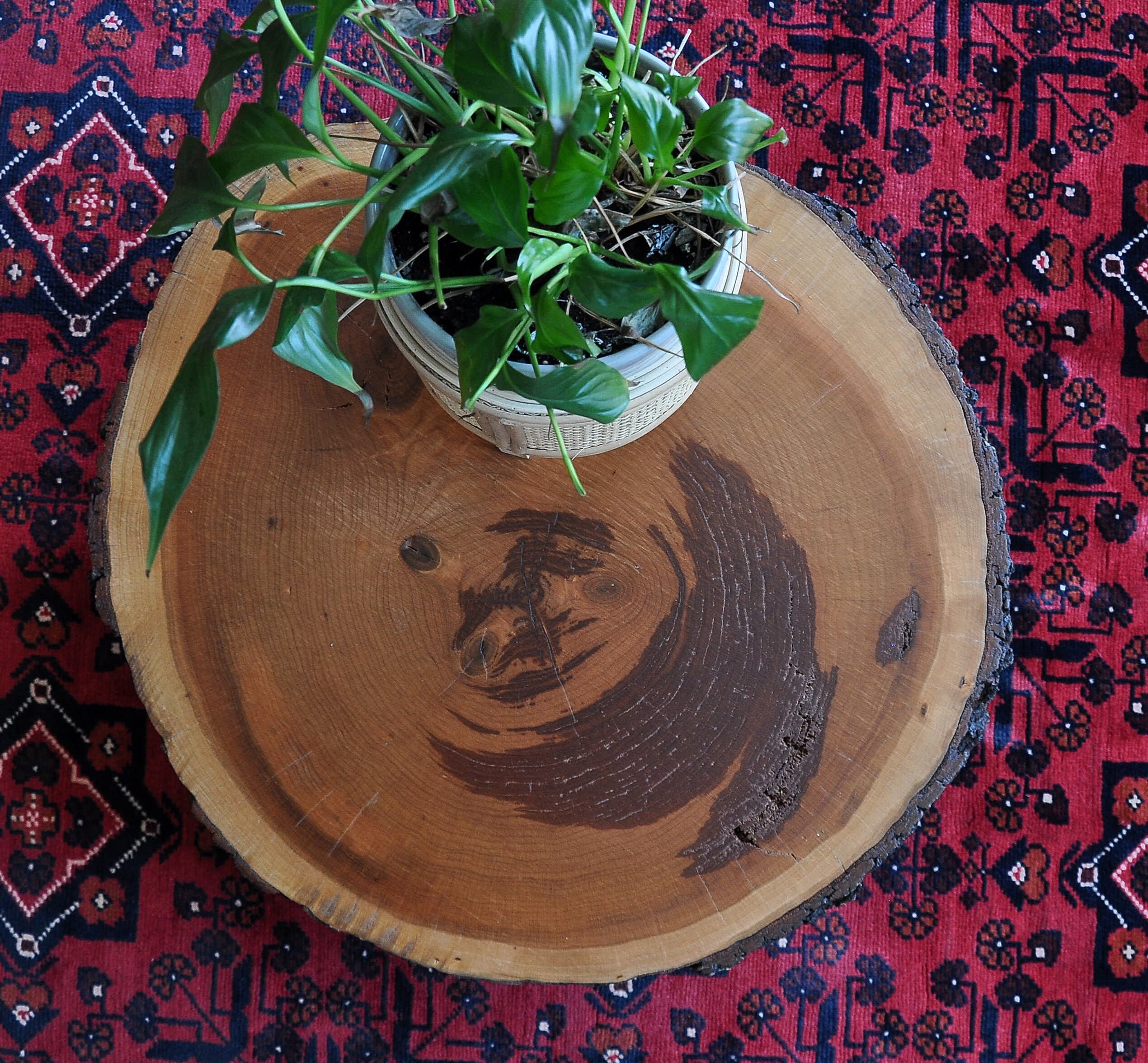 Riser / Live Edge Wood Riser / Plant Stand / Plant Riser / | Etsy