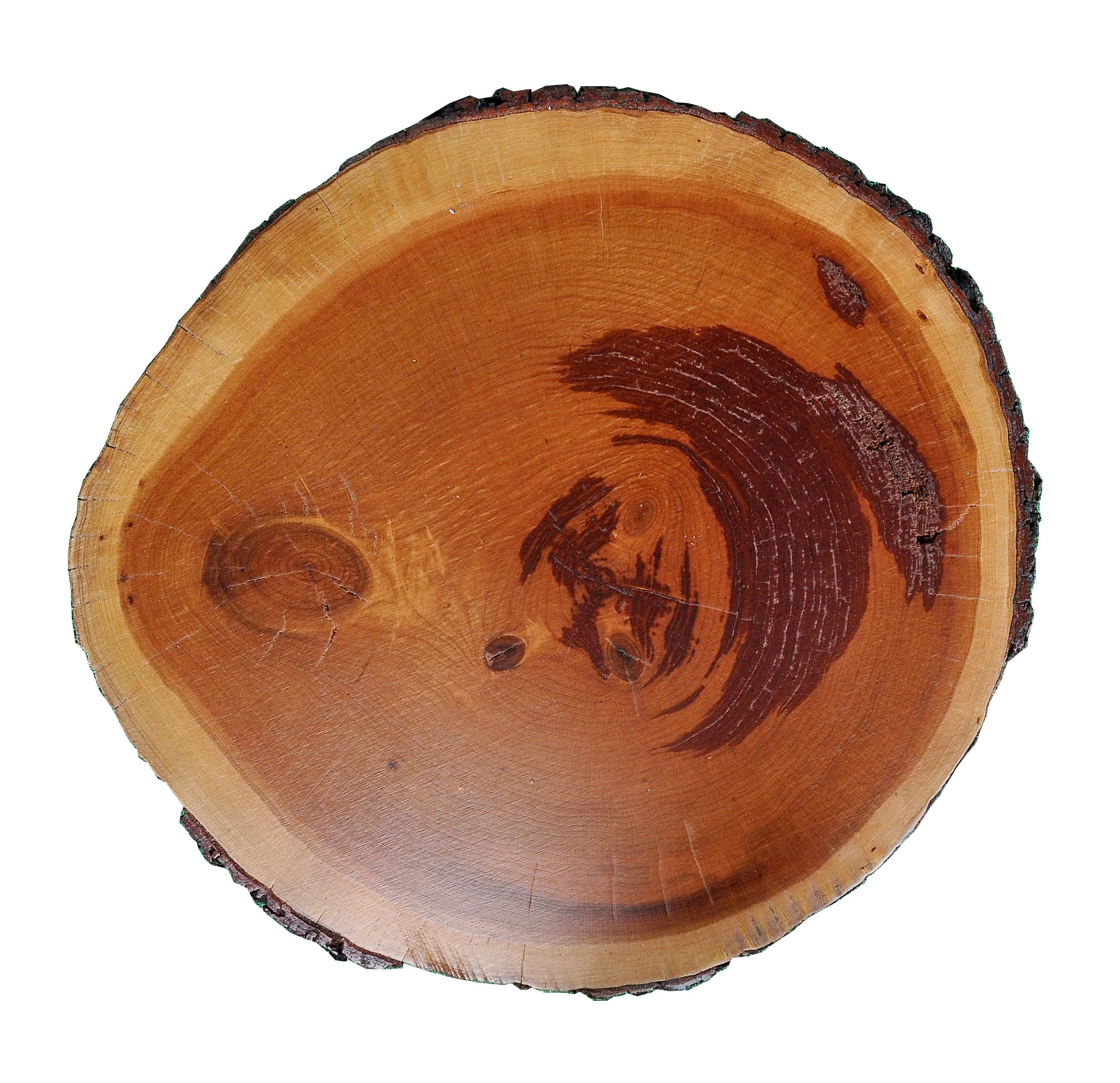 Riser / Live Edge Wood Riser / Plant Stand / Plant Riser / Cake Stand ...