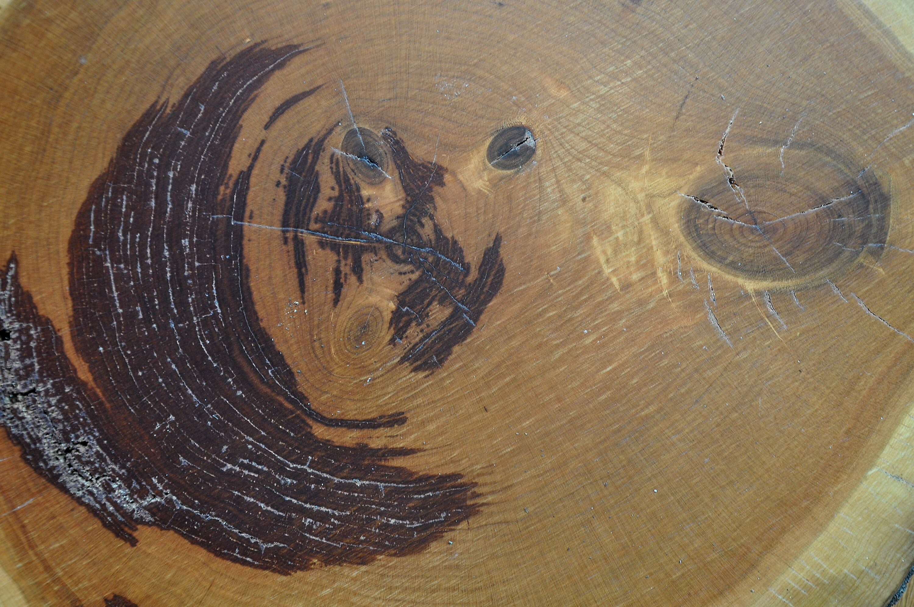 Riser / Live Edge Wood Riser / Plant Stand / Plant Riser / Cake Stand ...