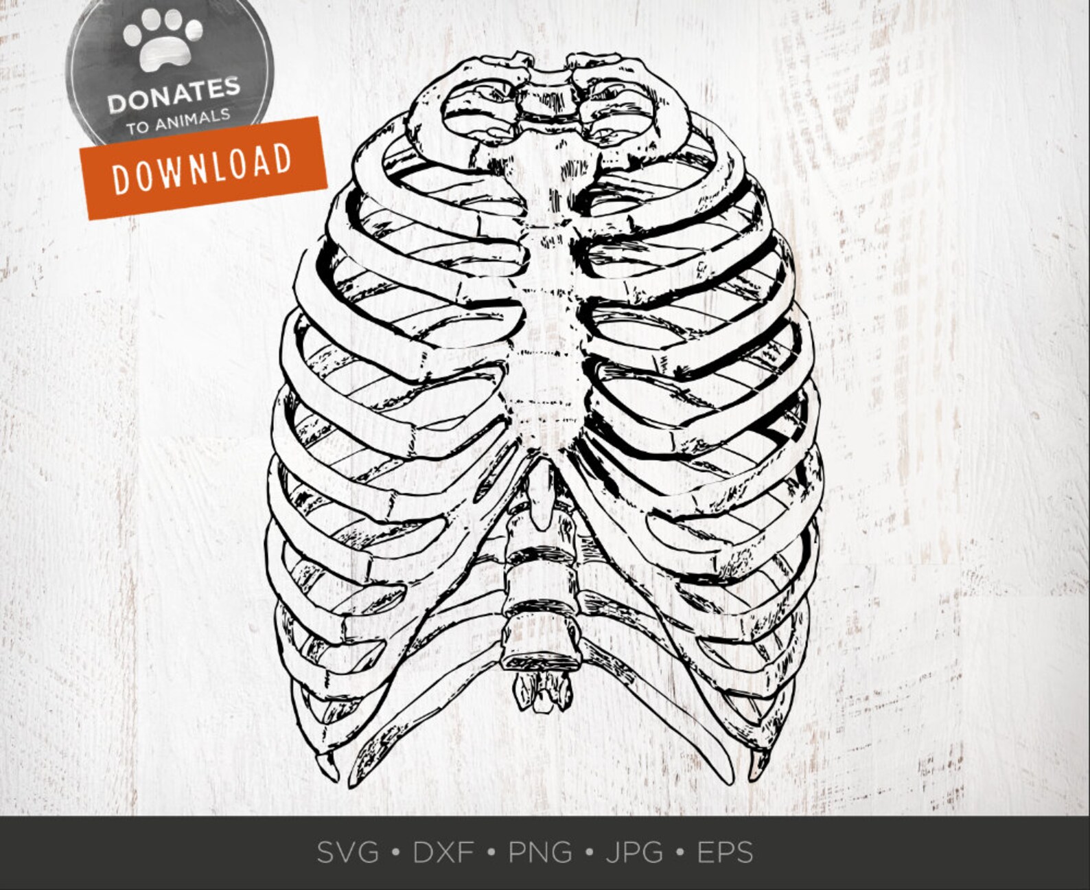 Vintage Rib Cage SVG | Ribcage SVG Ribs Halloween Shirt SVG Skeleton ...