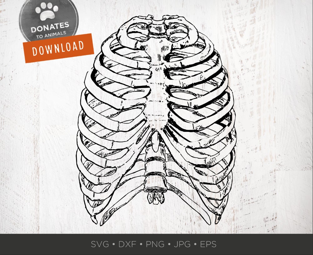 Vintage Rib Cage SVG | Ribcage SVG Ribs Halloween Shirt SVG Skeleton ...