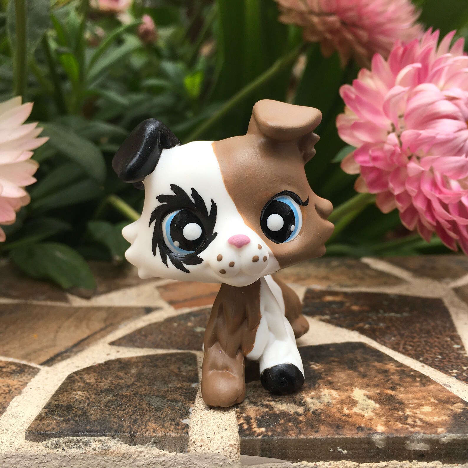 Littlest Pet Shop Cute Charming COLLIE DOG Ooak Custom W/ | Etsy