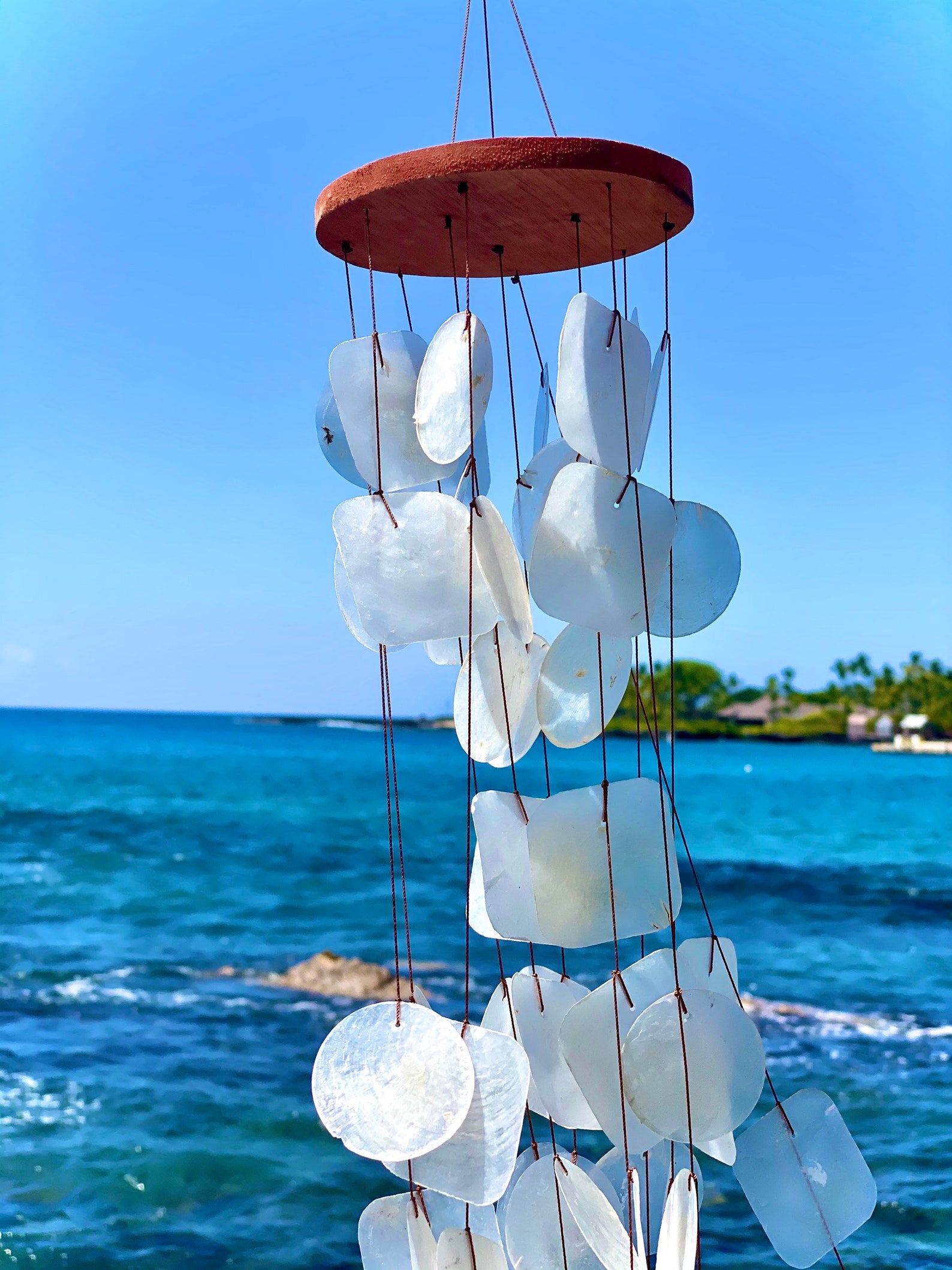 New Capiz Shell Wind Chime Ocean Nautical Decor Natural - Etsy