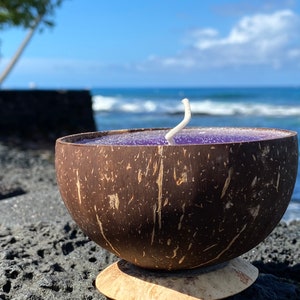 Coconut Shell Candle 100% Natural Organic Coconut Candles Island Gift ...