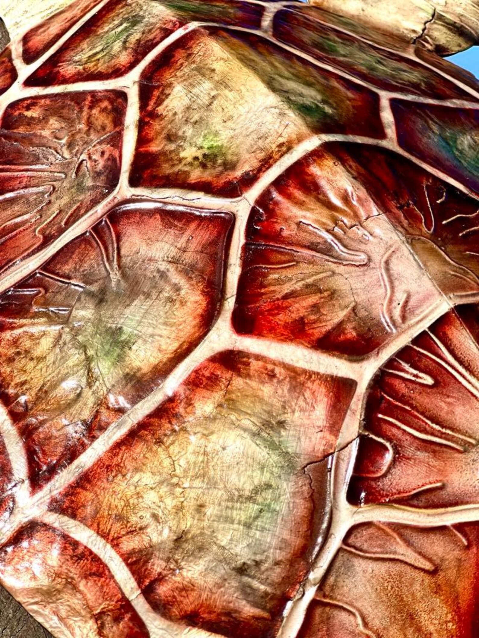 Hand-painted Oyster Shell Turtle Wall Decor: Rust Proof Aluminum - Etsy
