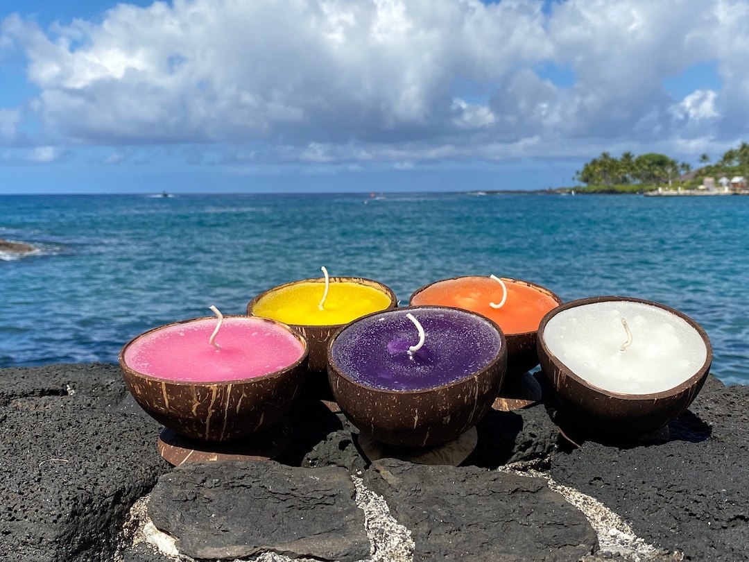 Coconut Shell Candle 100% Natural Organic Coconut Candles Island Gift ...