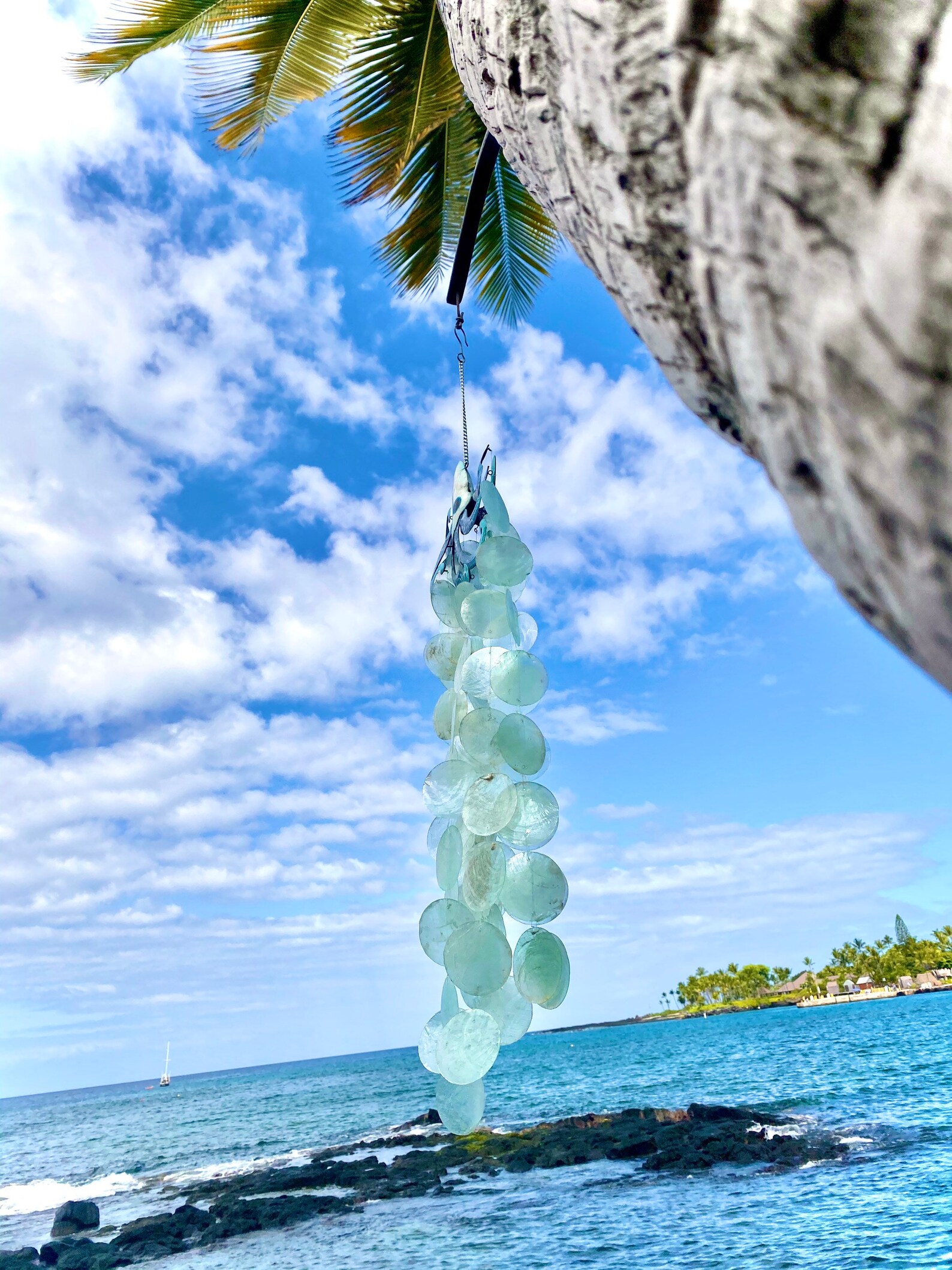 Octopus Capiz Wind Chime Ocean Nautical Decor. Natural Capiz Shell ...