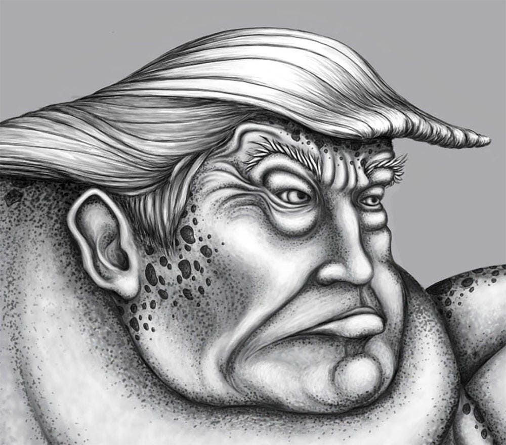 Donald Trump as a Toad, Toad Art, Frog Art, Art Print, Black and White ...