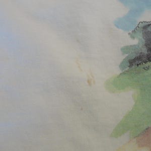 The Far Side Vintage 90's How Birds See the World Gary Larson Sunday ...