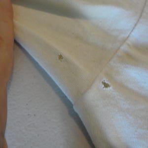 The Far Side Vintage 90's How Birds See the World Gary Larson Sunday ...