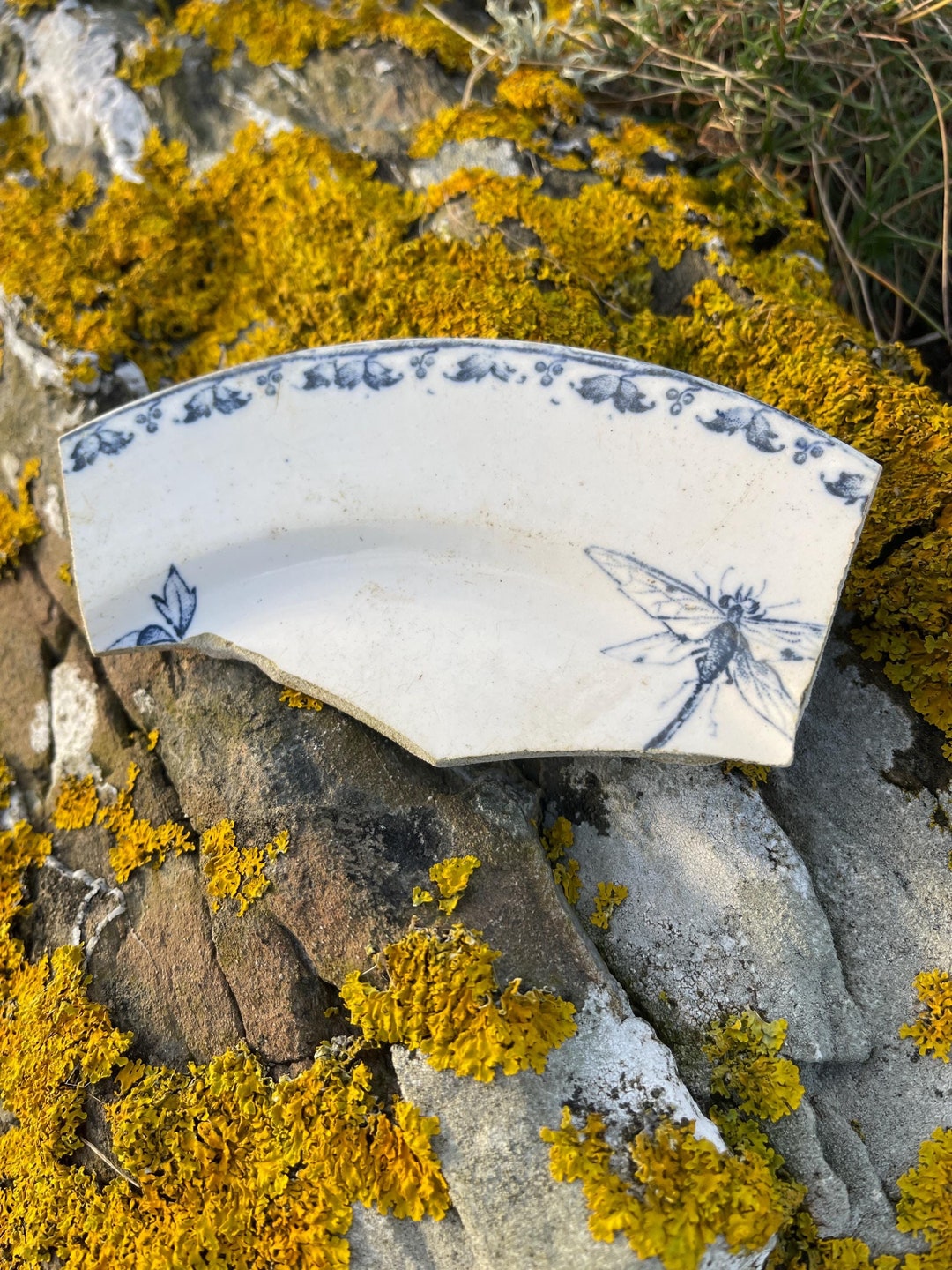 DRAGONFLY - Vintage Irish Sea Pottery Sherd - Nature ~ Blue & White ...