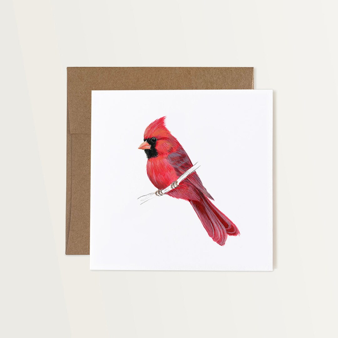 Northern Cardinal Note Card - Etsy