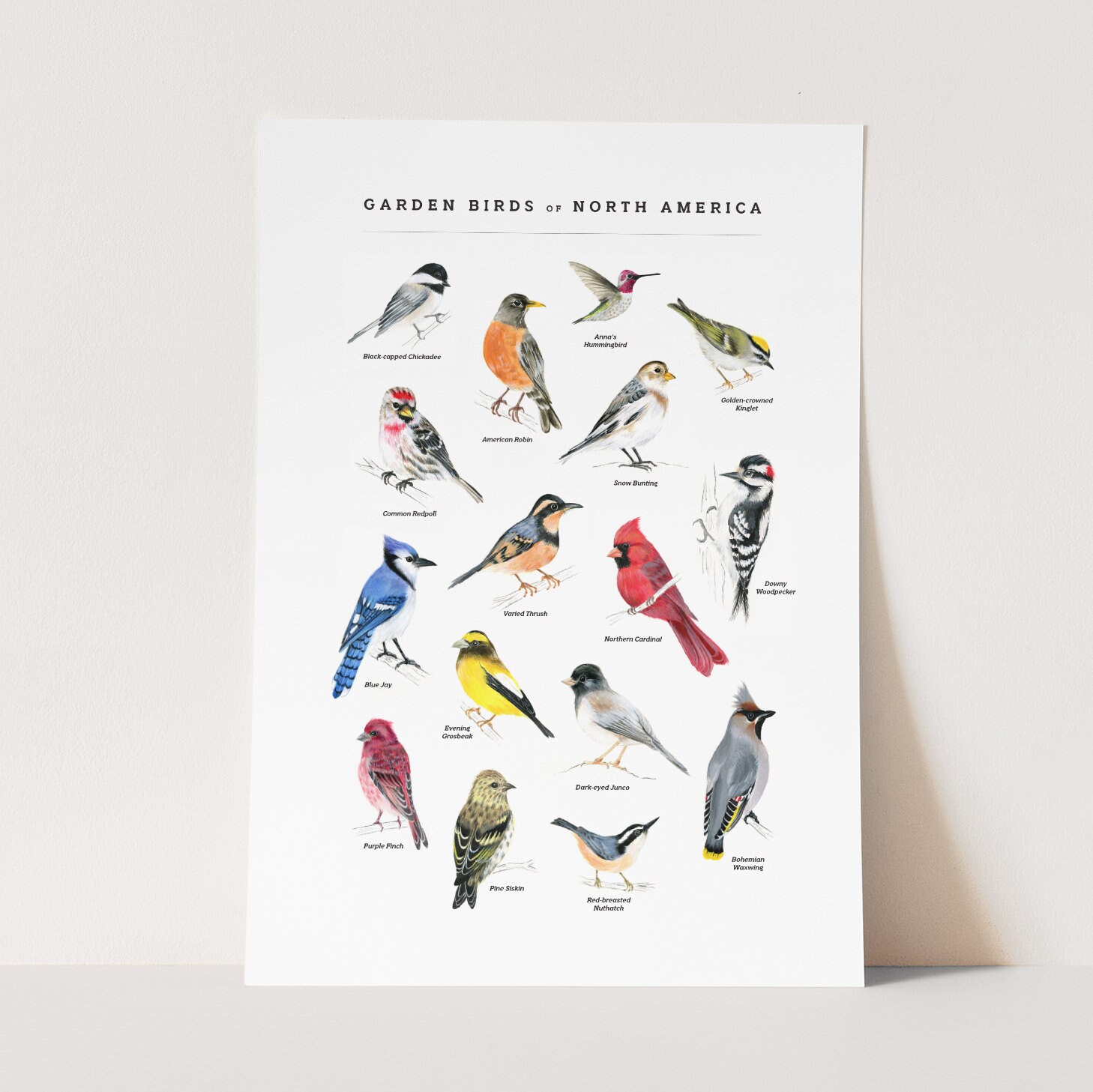 Garden Birds of North America Art Print | Watercolor Giclée - Etsy