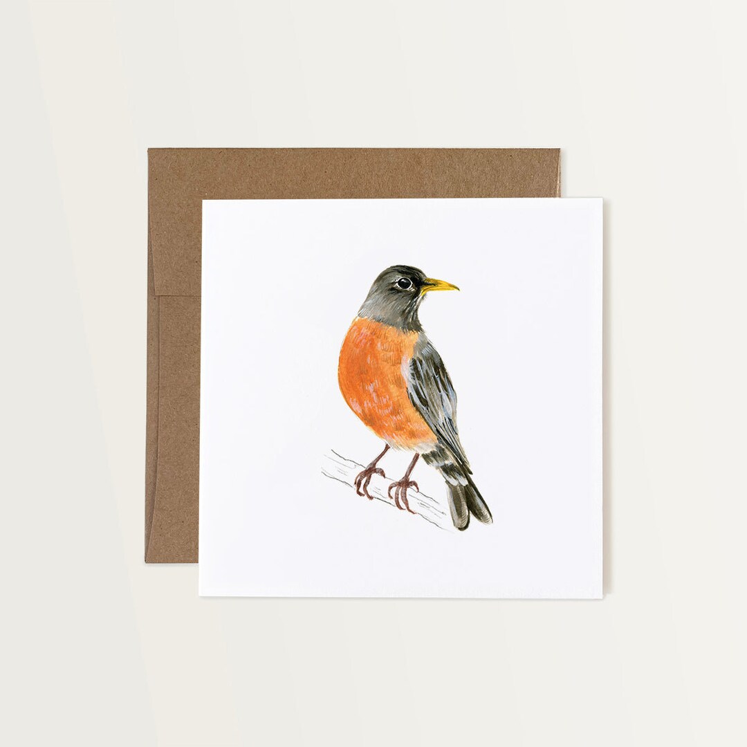 American Robin Note Card, Blank Bird Art Card, Illustrated Bird Card ...