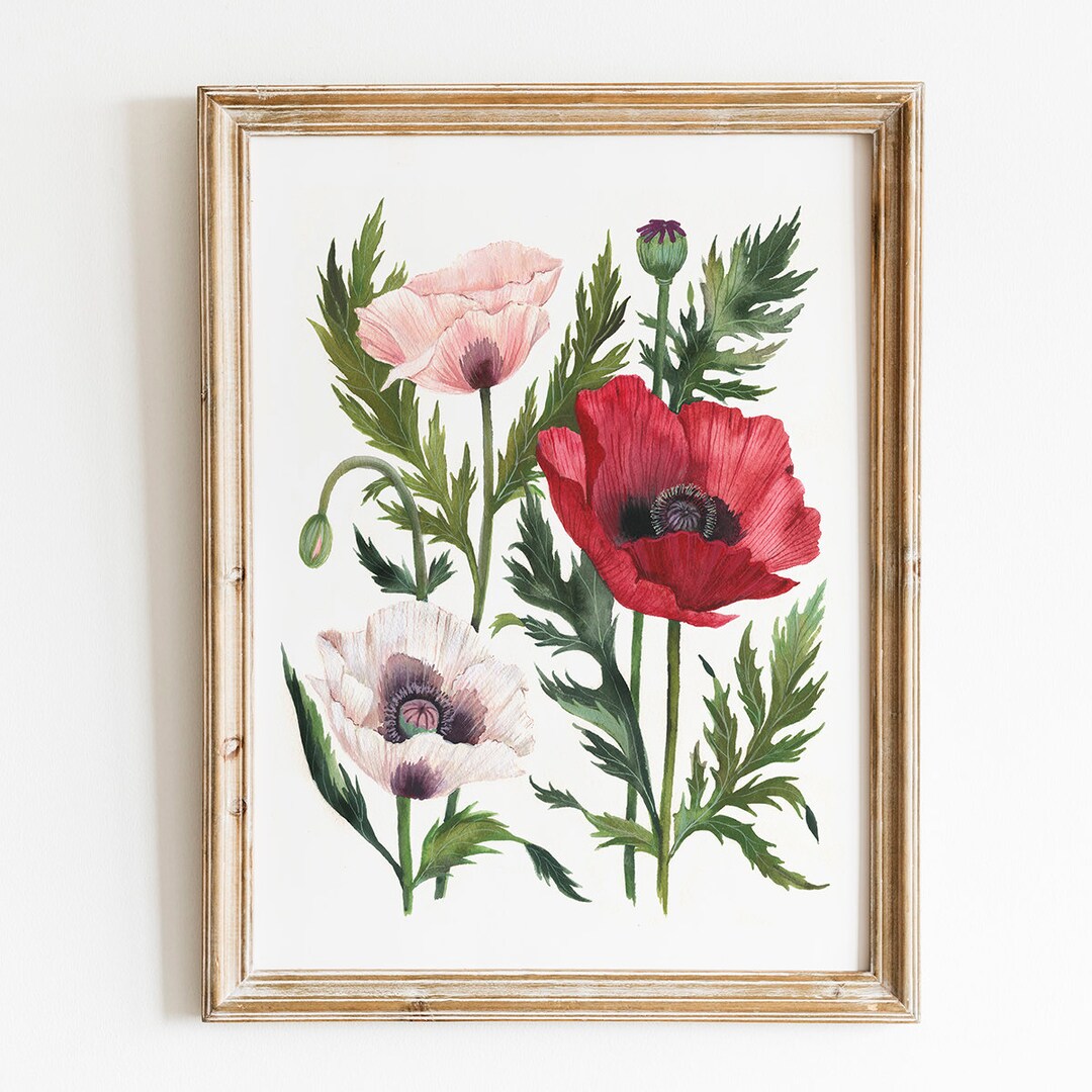 Poppy Art Print | Watercolor Botanical Giclée, Floral Painting - Etsy