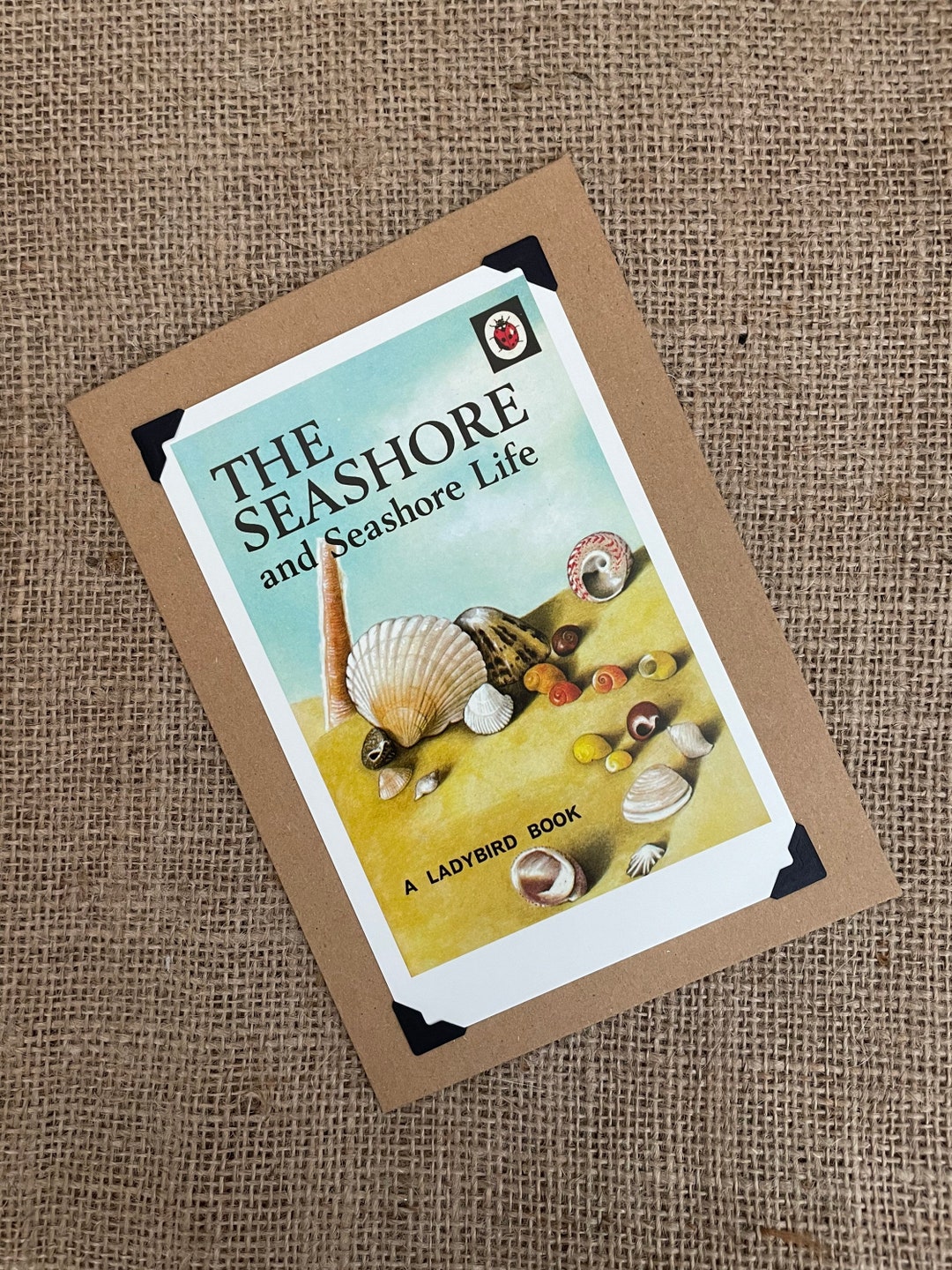 Handmade Greeting Card A Ladybird Book. the Seashore - Etsy