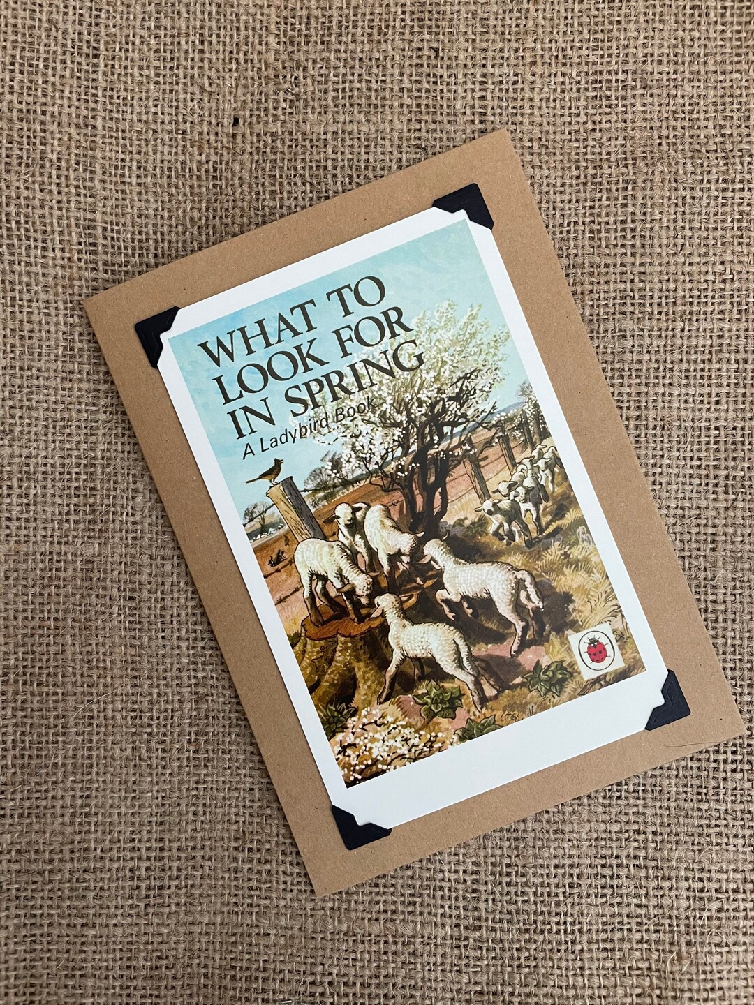 Handmade Birthday - Greeting Card. Ladybird Book Cover. What to Look ...