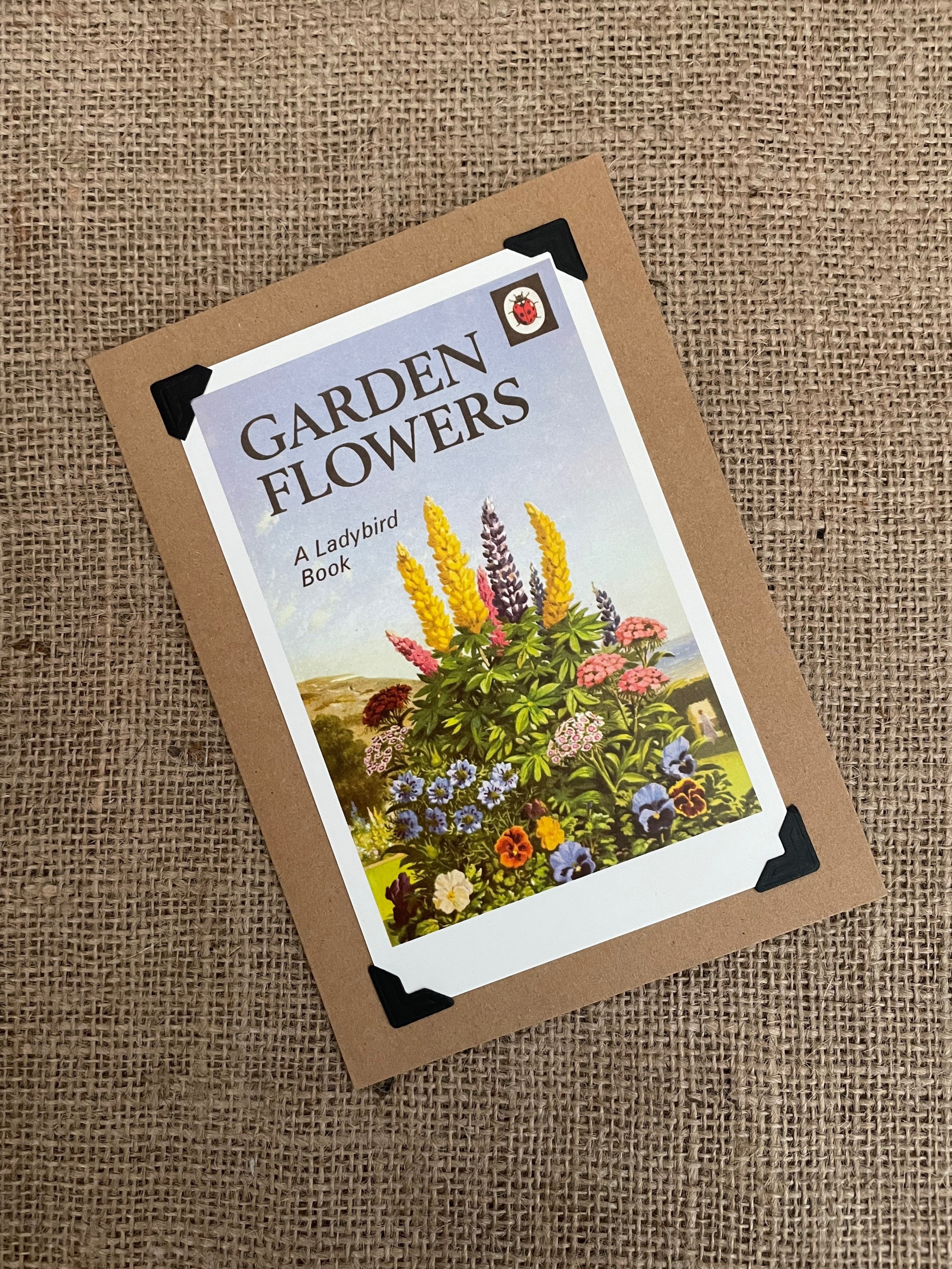 Handmade Ladybird Book Cover Greeting Card Garden Flowers - Etsy