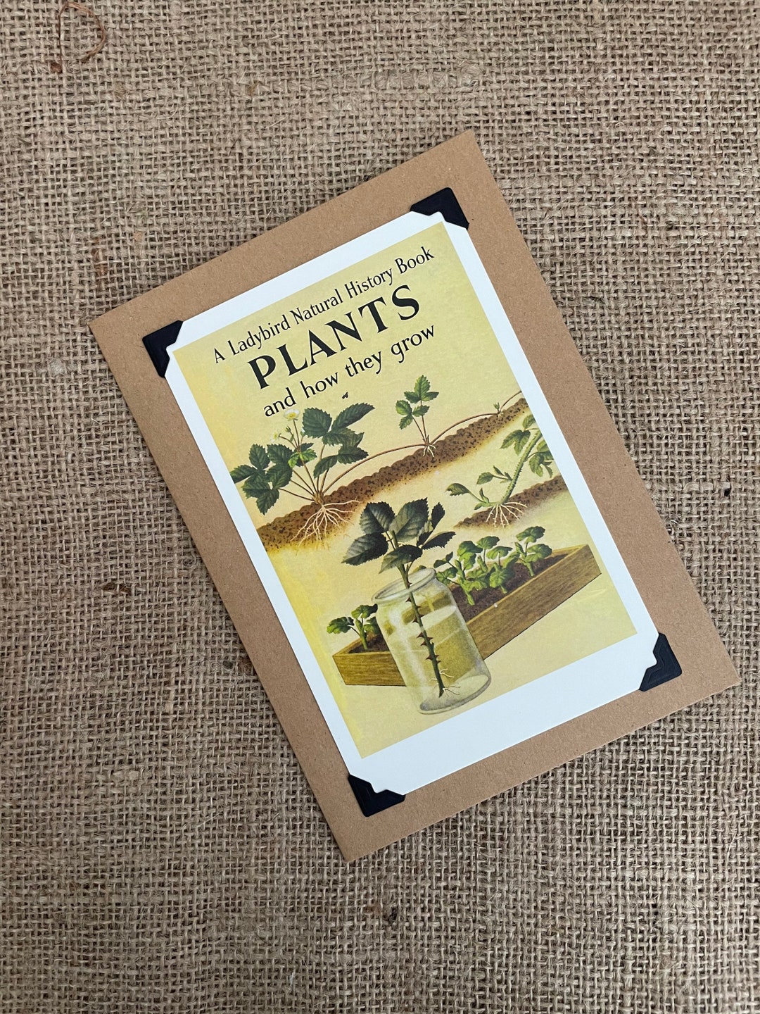 Handmade Ladybird Book Cover Greeting Card Plants and How They Grow - Etsy