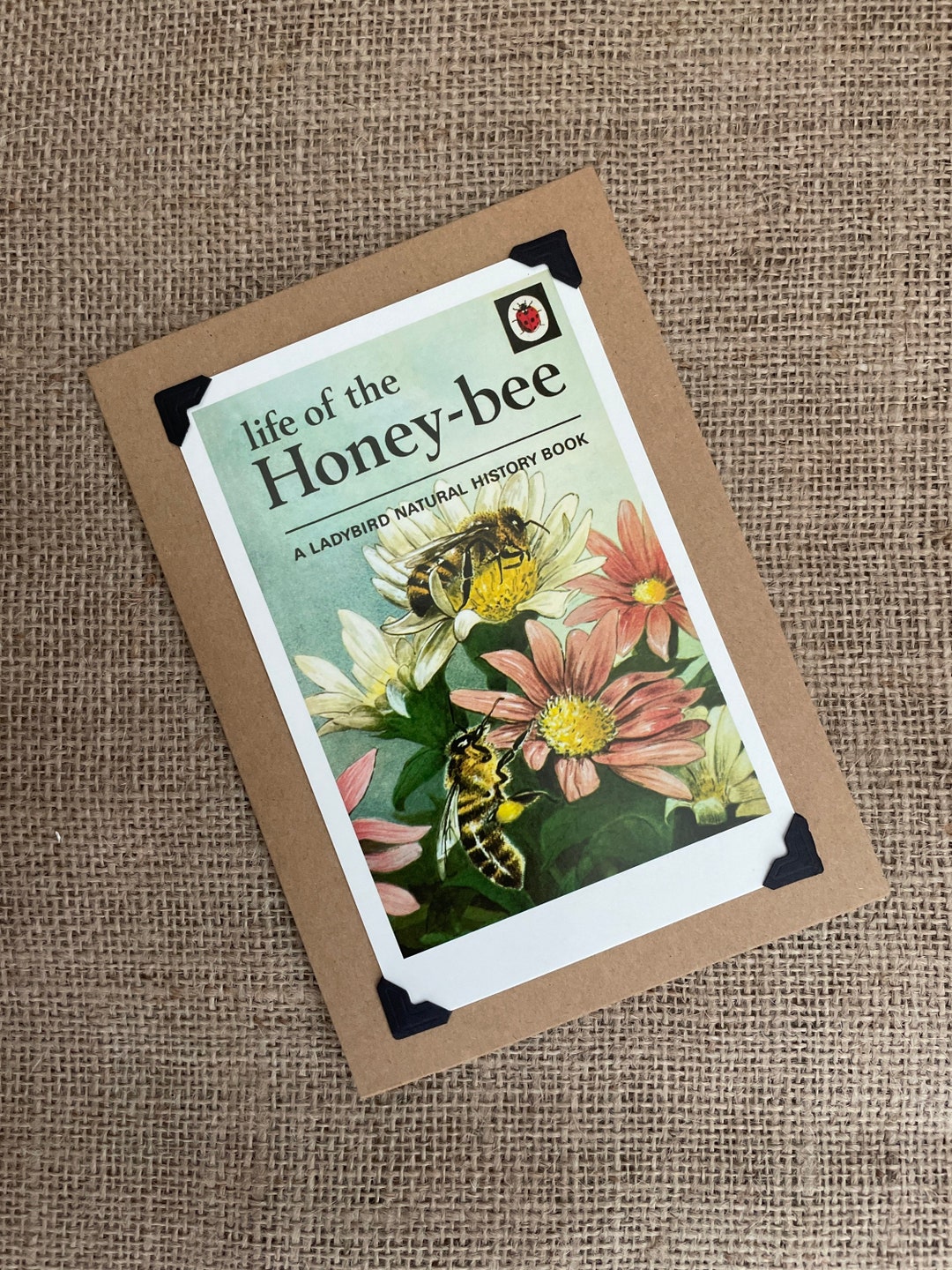 Ladybird Book Cover Handmade Greeting Card. Life of the Honey Bee - Etsy