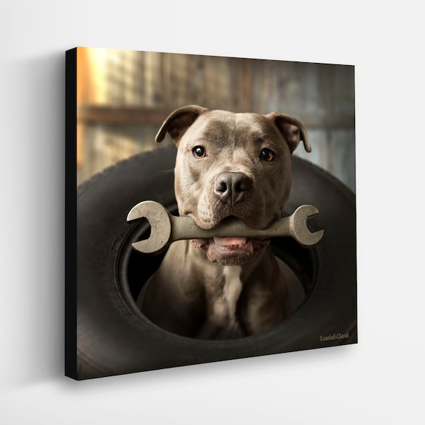 Pitbull Dog Canvas Art - Etsy