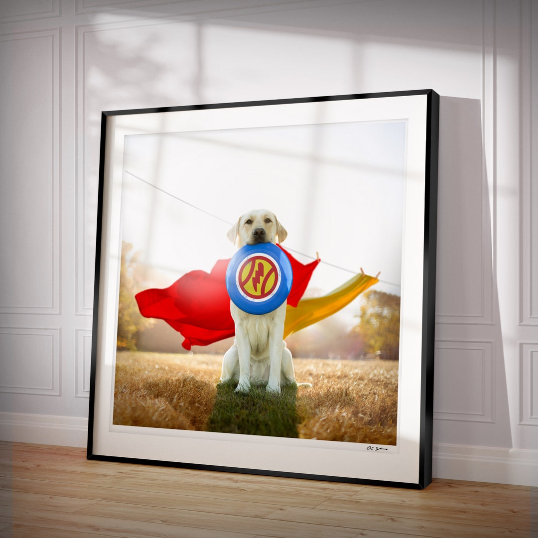 Signed Labrador Art Print: Superhero Dog Photo by Ron Schmidt - Etsy