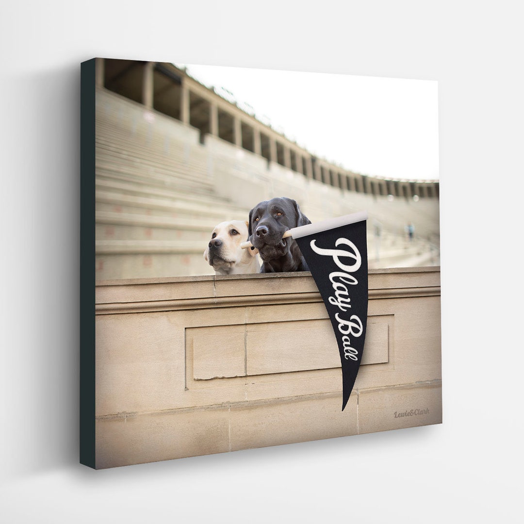 Play Ball Canvas Print: Labrador Retrievers Baseball Dog Art - Etsy