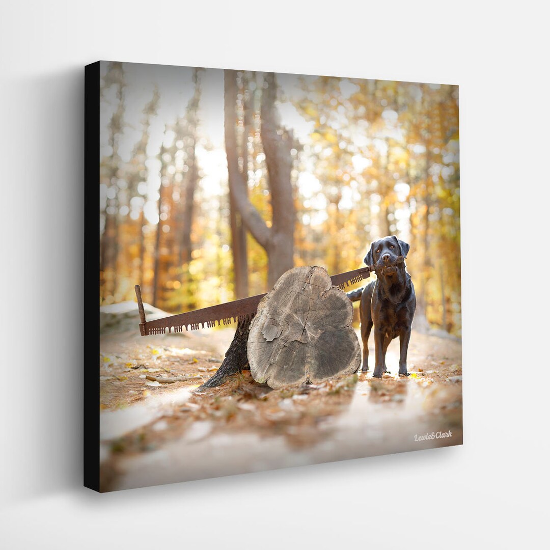 Black Labrador Tree Art - Labrador Sawing Timber Wood Canvas - Wall ...