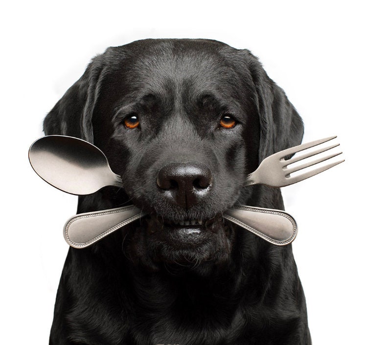 Black Labrador Kitchen Chef Art Print Dog With Spoon and Fork in Mouth ...