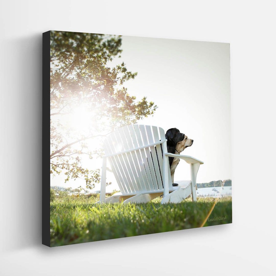 Labrador Sunset Canvas Art Print | Dogs by Water at Sunset | Dog Lover ...
