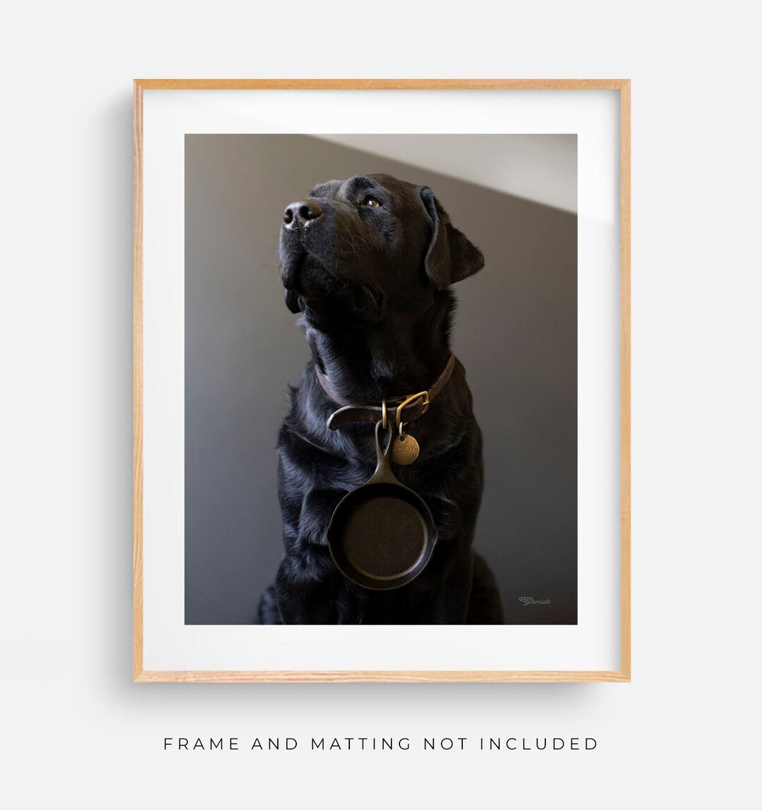 Black Labrador Cook Print - Dog Kitchen Wall Decor - Dog Lover Kitchen ...