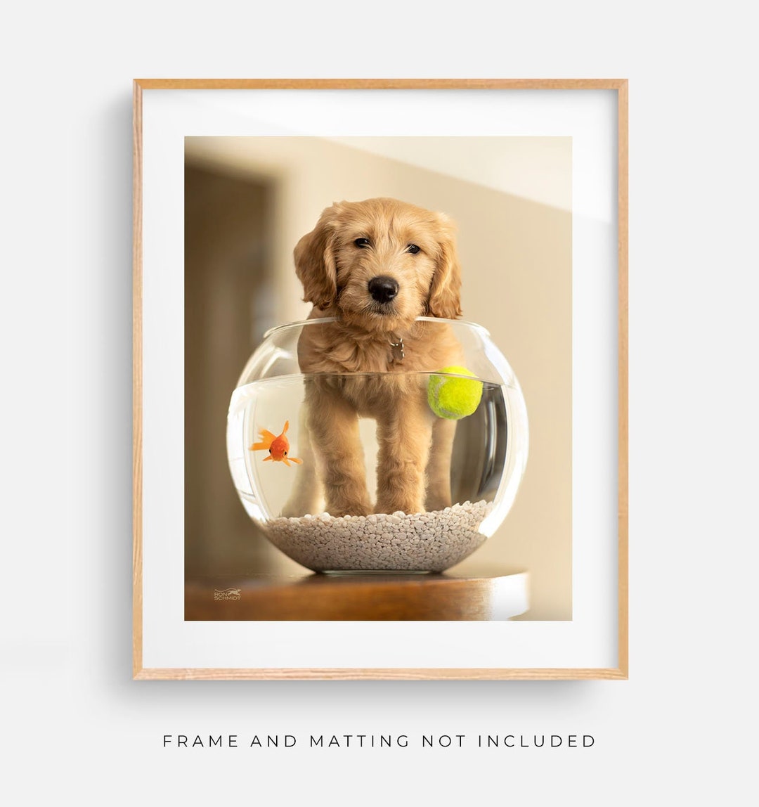 The Fishbowl Art Print - Dog and Goldfish Unframed Wall Decor ...