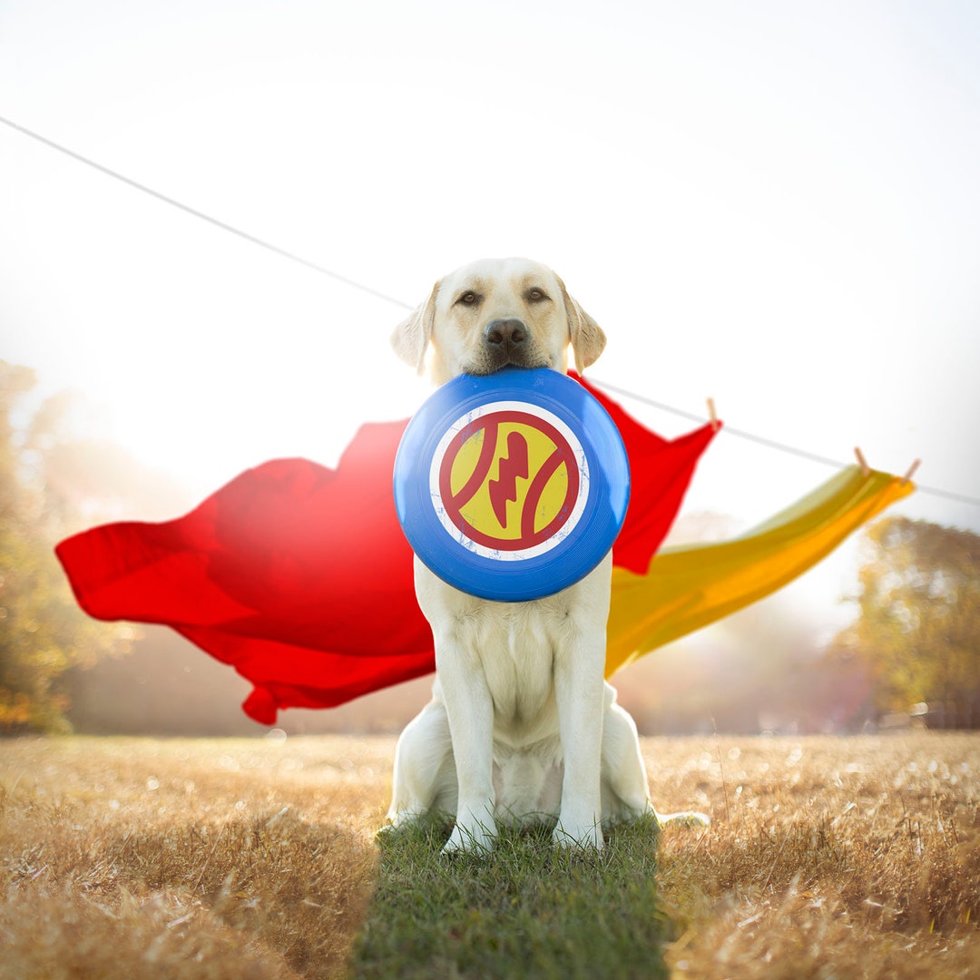 Superhero Yellow Labrador Art Print: Kids Room Decor - Etsy