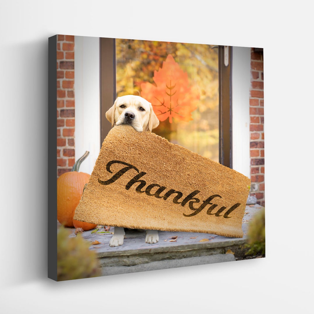 Thankful Dog Canvas Art Print | Labrador Holding Thankful Quote | Dog ...