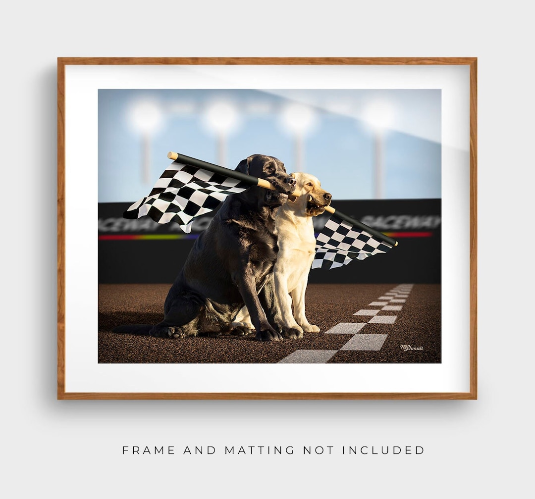 Rally Car Racing Print - Dogs and Checked Flag Artwork - Labrador ...