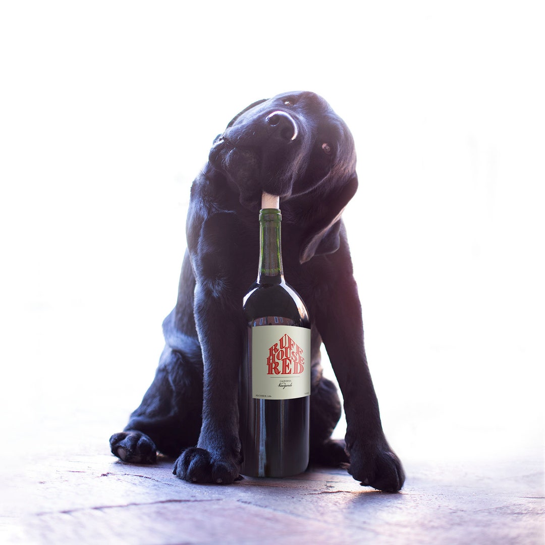 Dog and Wine Art Print: Black Labrador Whimsical Dog Lover Decor - Etsy