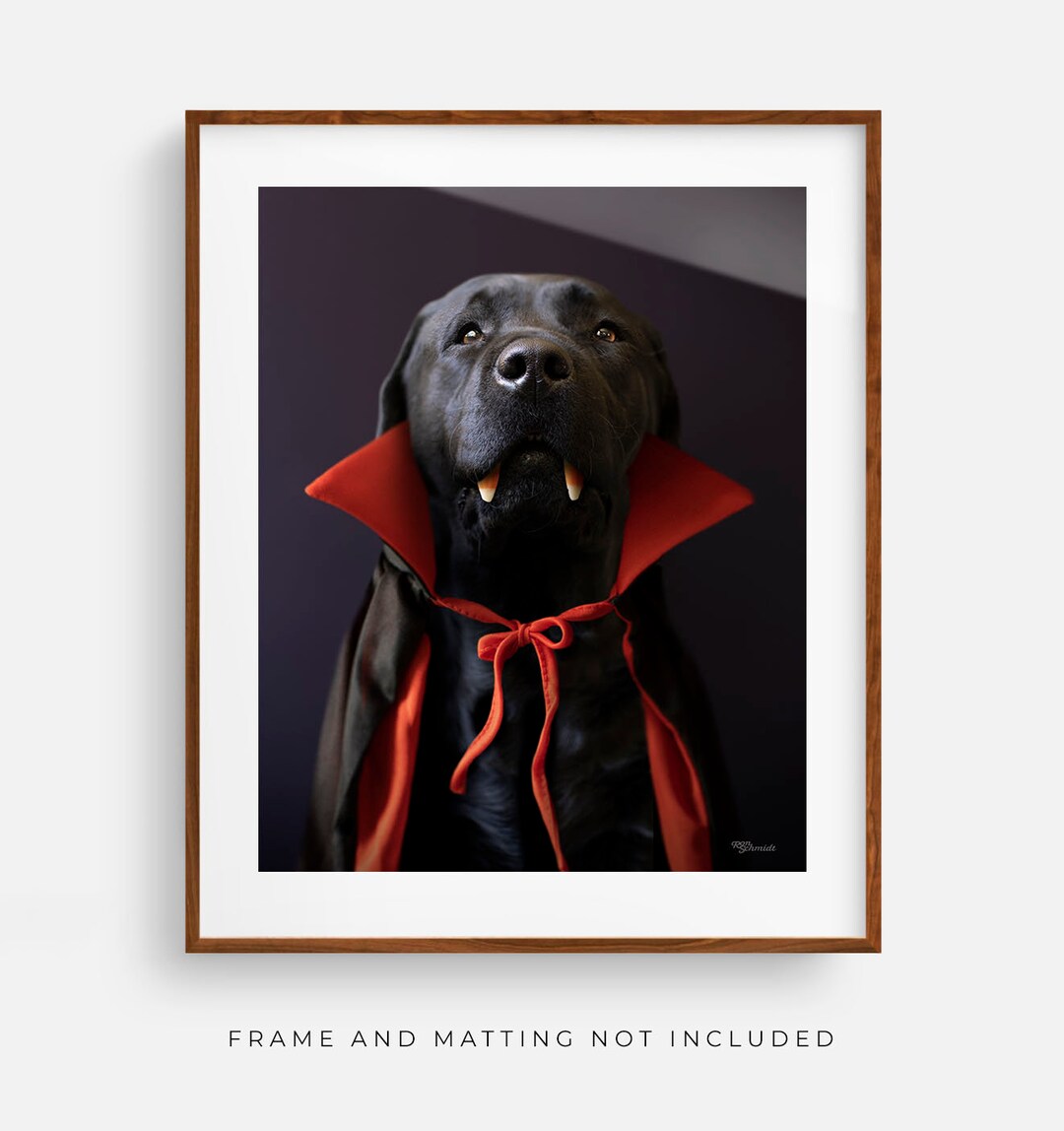 Vampire Dog Art Print | Black Labrador Dracula Art | Fall Halloween ...