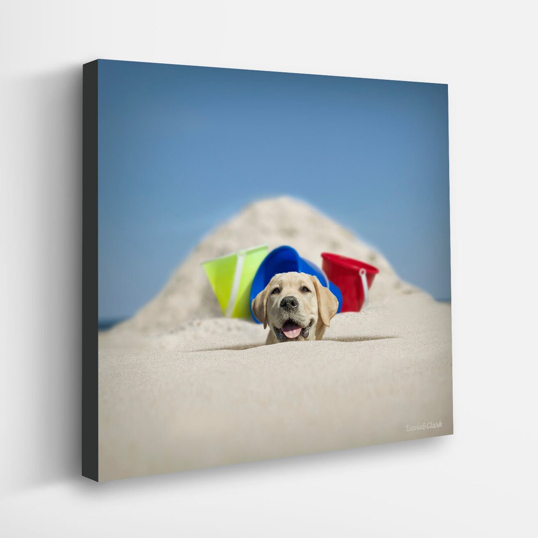 Sandy Paws Dog Art Yellow Labrador Beach Fun Art Print Dog Playing in ...