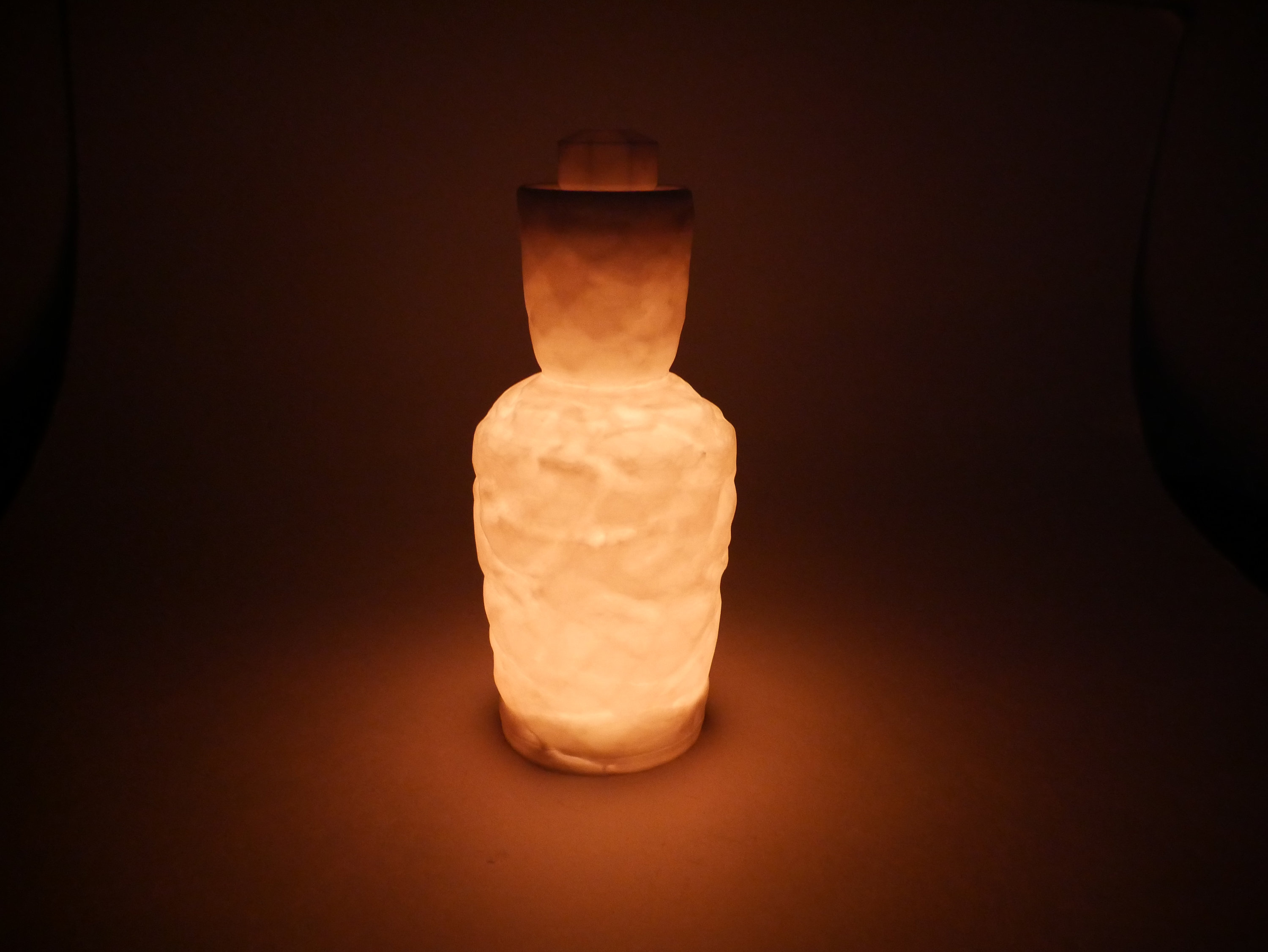 Dark Souls Dragon Form Estus