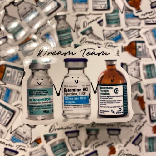 Veterinary Medicine Sticker Set / Vet Med Stickers / Vet Tech - Etsy