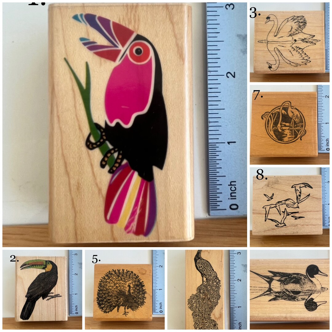 Birds Peacock Toucan Swan Duck Flamingo Sea Gulls Wood Mounted Rubber ...