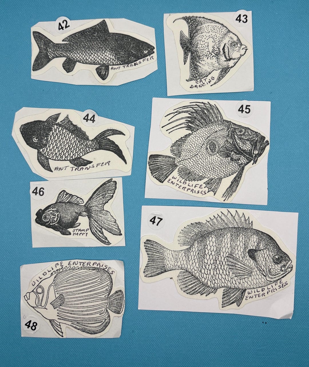 Unmounted Fish Rubber Stamps RARE Vintage Hook and Loop Backed - Etsy
