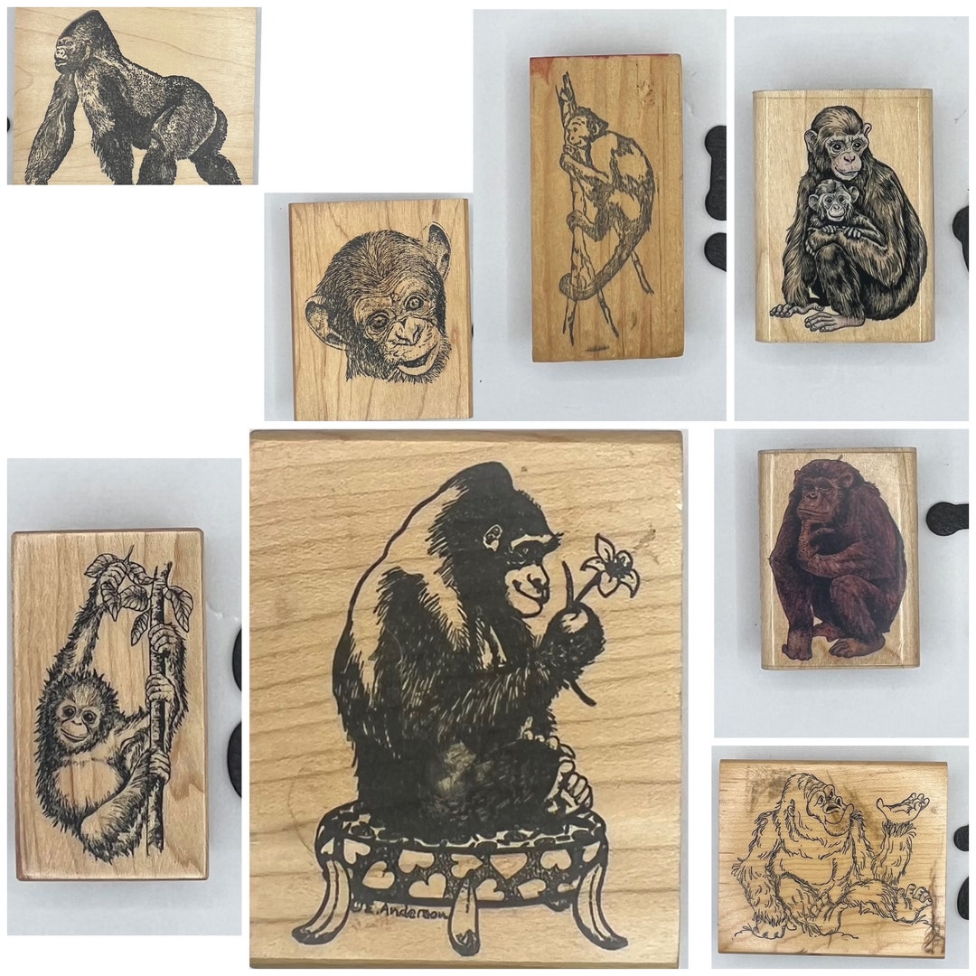 Primates Monkey Ape Gorilla Chimpanzee Wood Mounted Rubber Stamps - Etsy