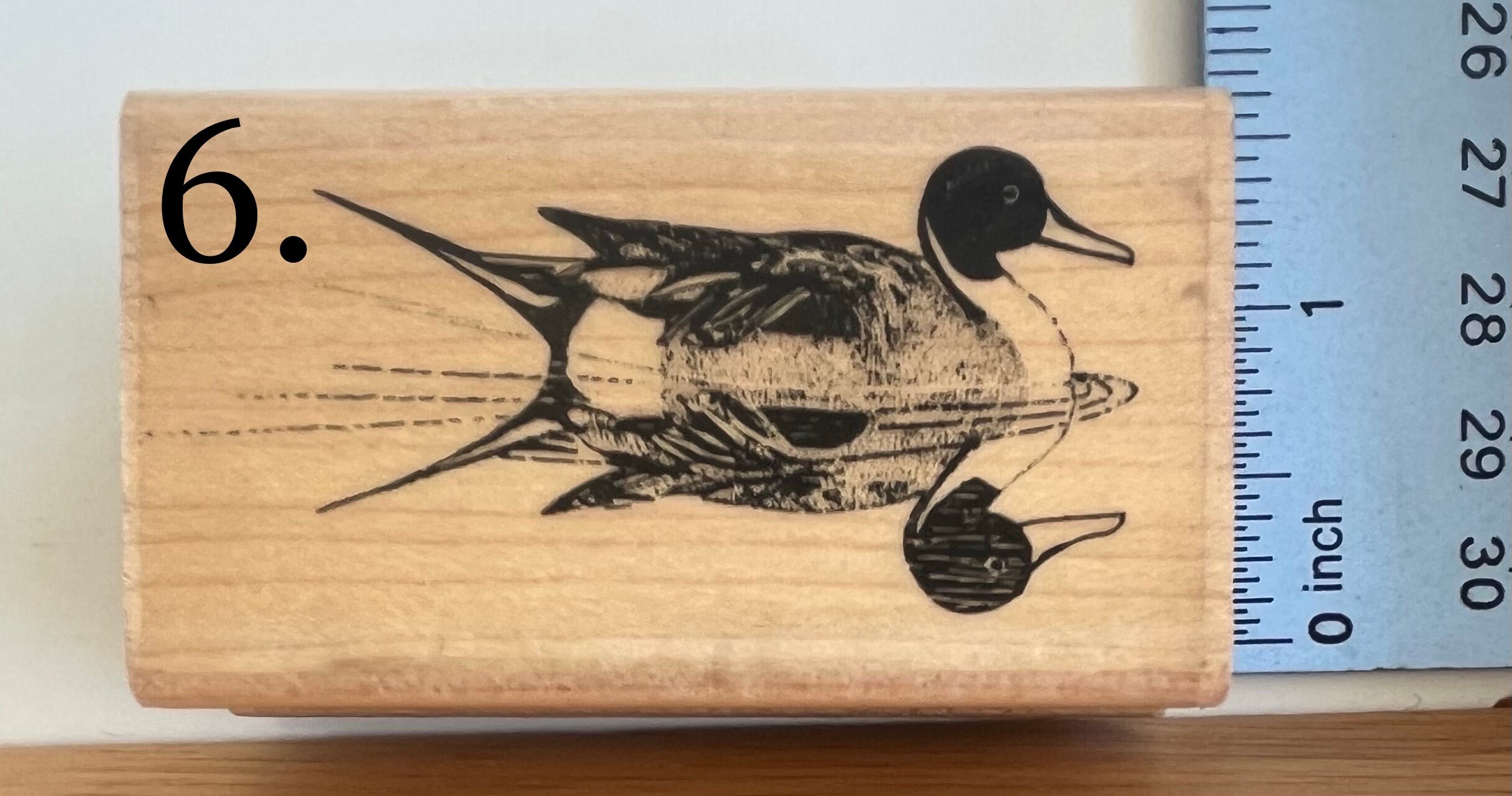 Birds Peacock Toucan Swan Duck Flamingo Sea Gulls Rubber Stamps - Etsy