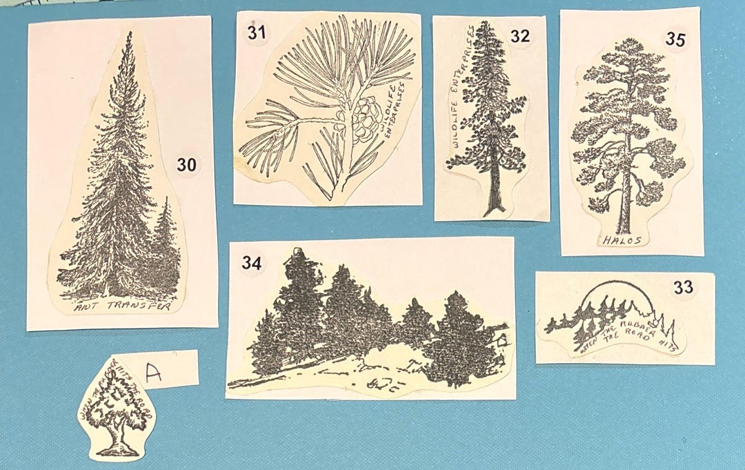 Unmounted Trees Pine Redwood Rubber Stamps Vintage Hook and Loop Backed ...