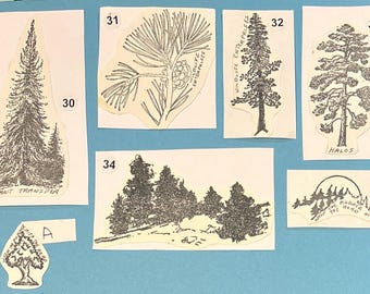 Unmounted Trees Pine Winter Card Size Rubber Stamps Vintage Hook and ...