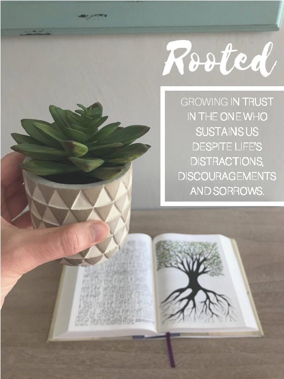 Rooted Indepth Bible Study | Instant Download Bible Study | Bible Study ...