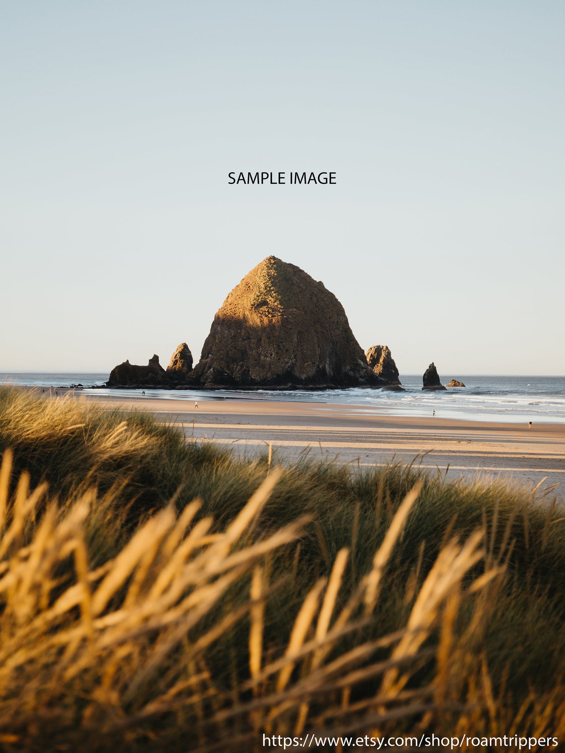 Sunrise at Cannon Beach - Landscape Photography (vertical) - Oregon ...