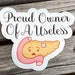 Proud Owner of A Useless Pancreas Sticker Sad Face Pancreas Sticker Fun ...