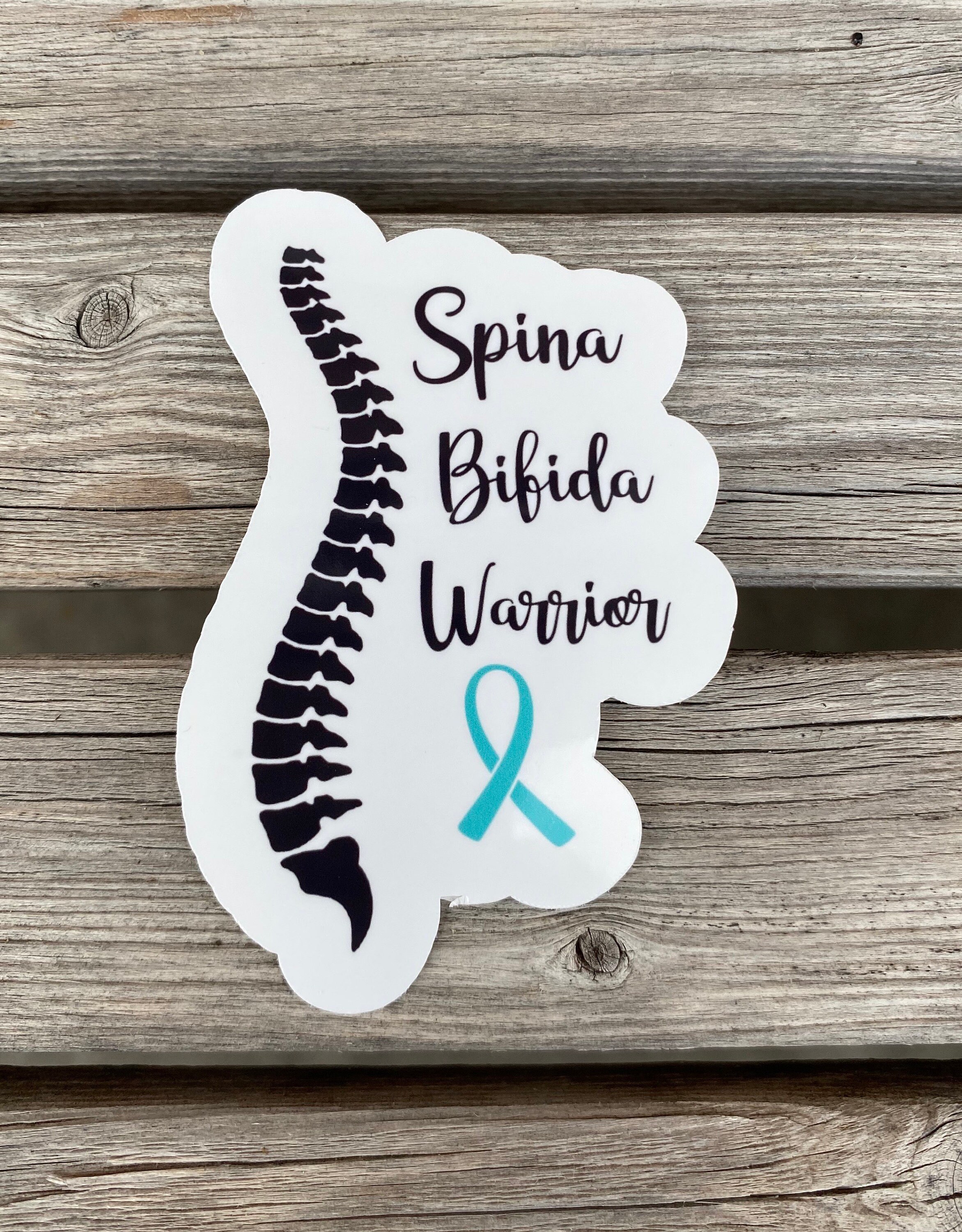Spina Bifida Warrior Sticker Spinal Cord Sticker With Teal - Etsy
